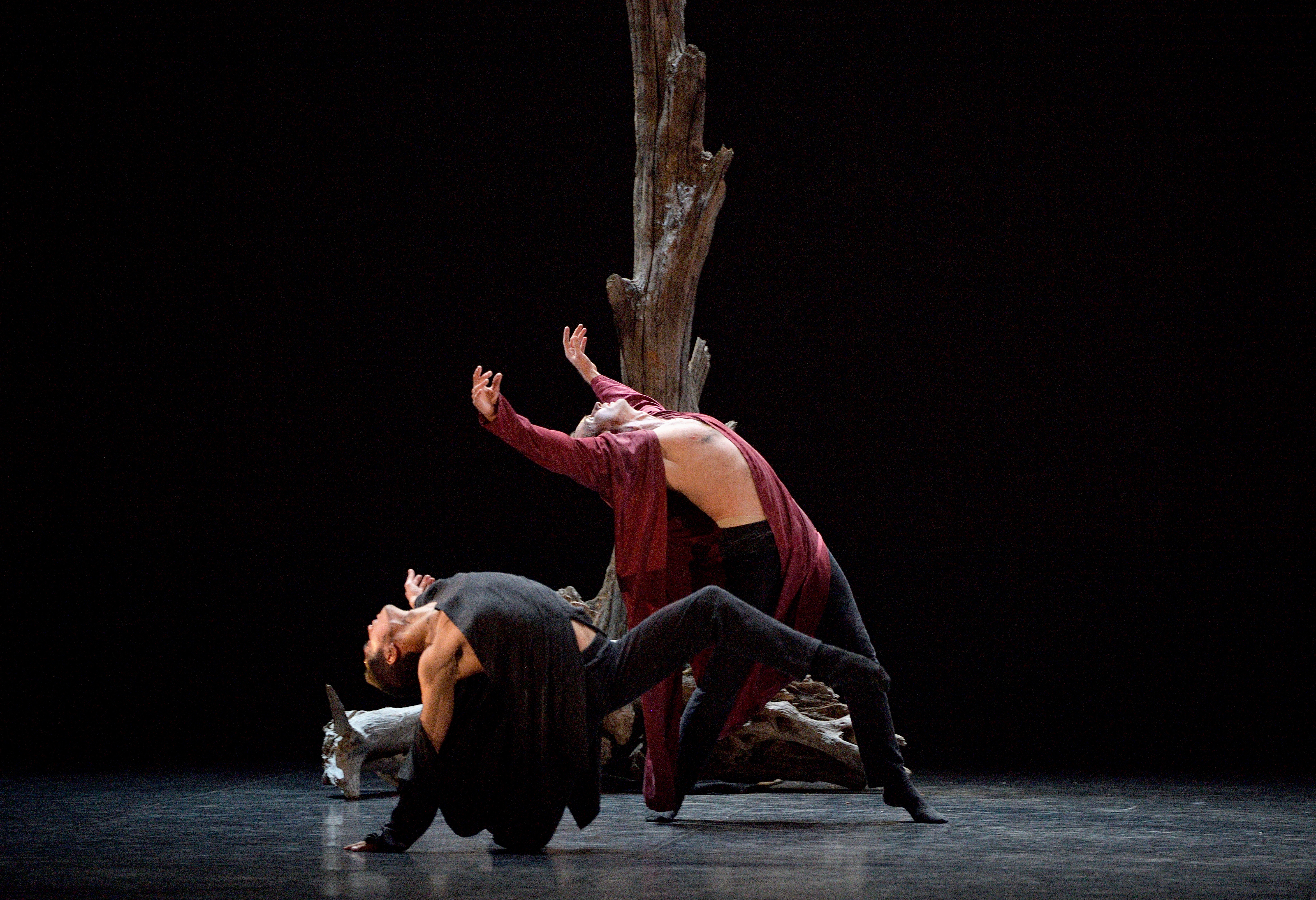 Watching with British Ballet Now & Then: ENB’s Reunion – British Ballet ...